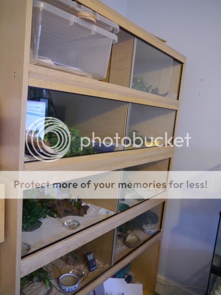 Hand-made Viv | Reptile Forums