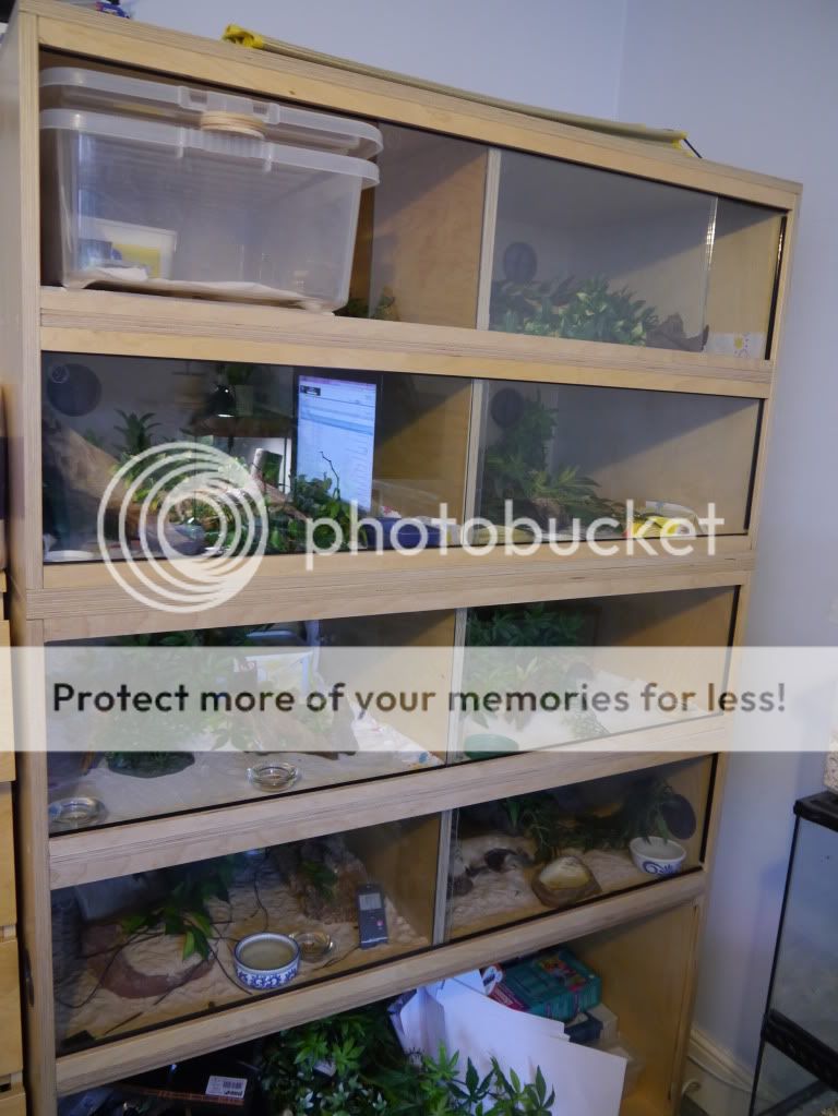 Hand-made Viv | Reptile Forums